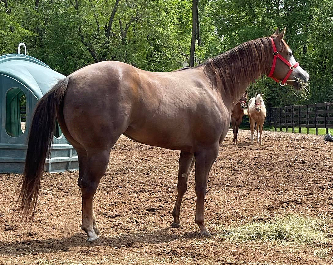 Click on pictures to enlarge.