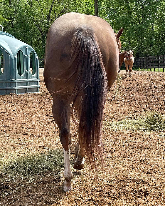 Click on pictures to enlarge.