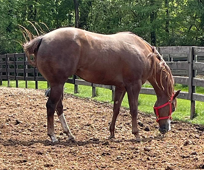 Click on pictures to enlarge.