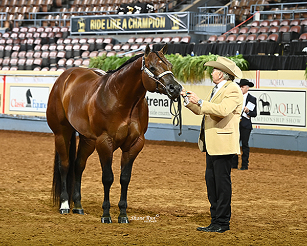 Double L Acres' EVINCING