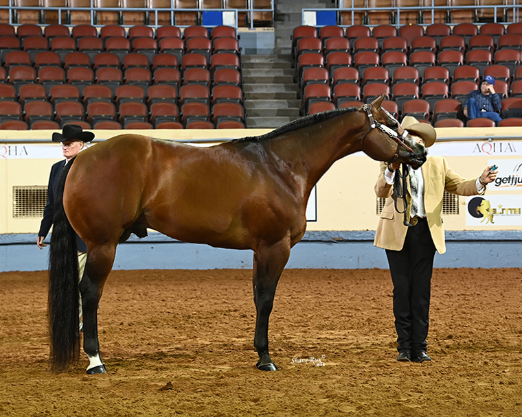 Double L Acres' EVINCING