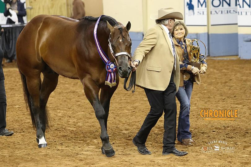 Double L Acres' EVINCING