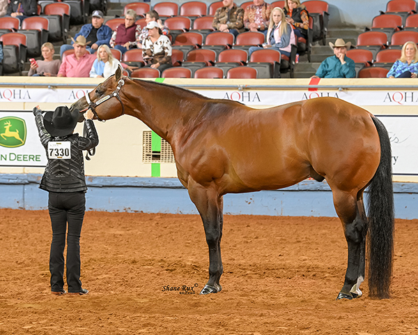 Double L Acres' EVINCING