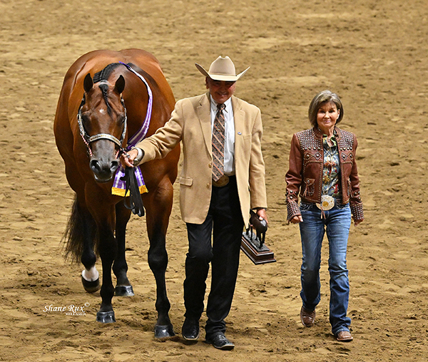 Double L Acres' EVINCING