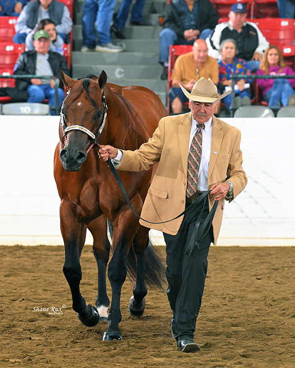 Double L Acres' EVINCING